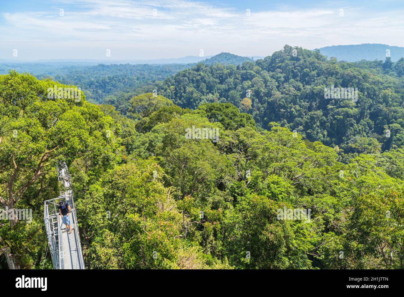 View of Ulu Temburong National Park or fathul park, in Temburong ...