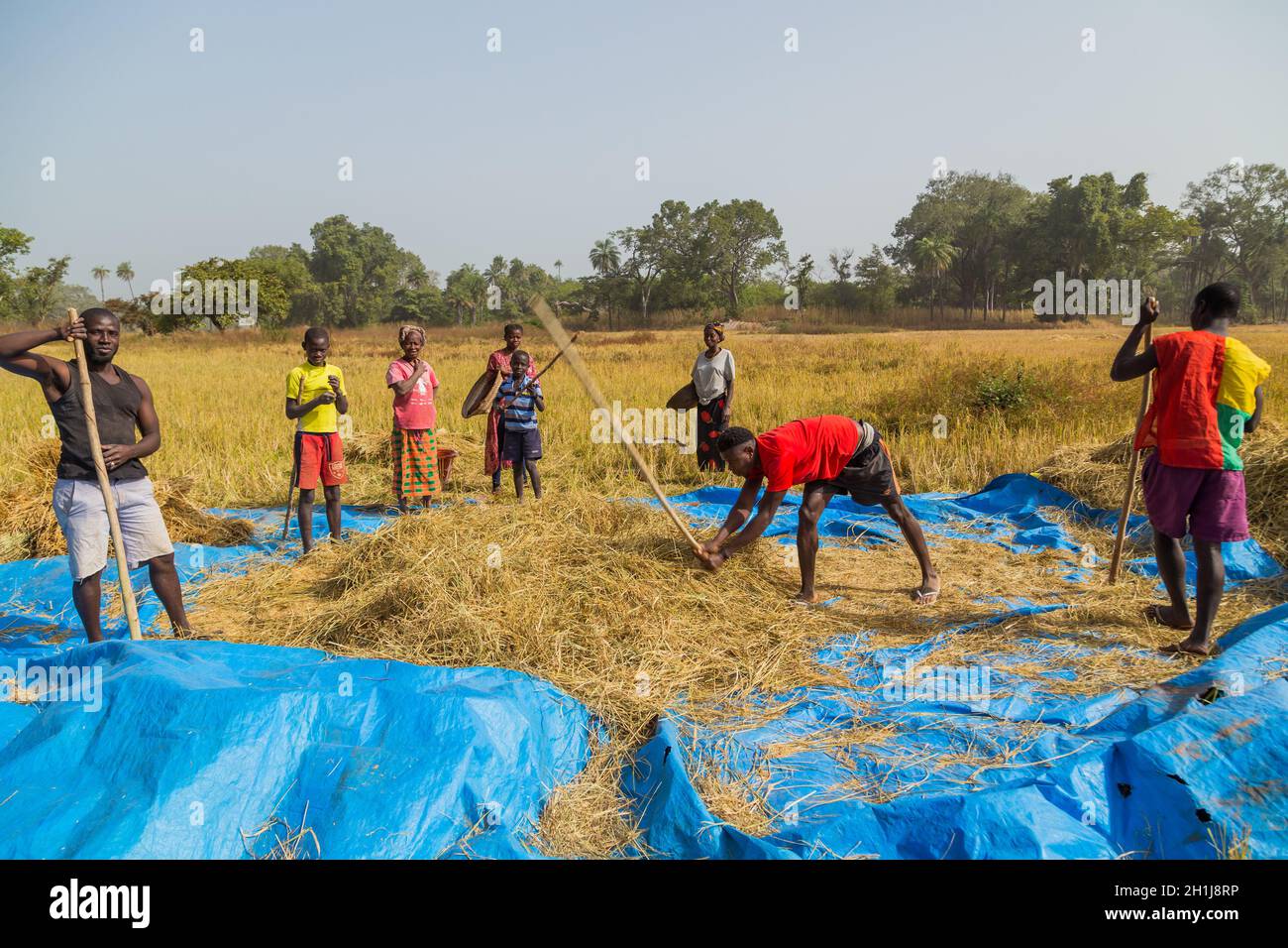 The republic of guinea landscape hi-res stock photography and images ...