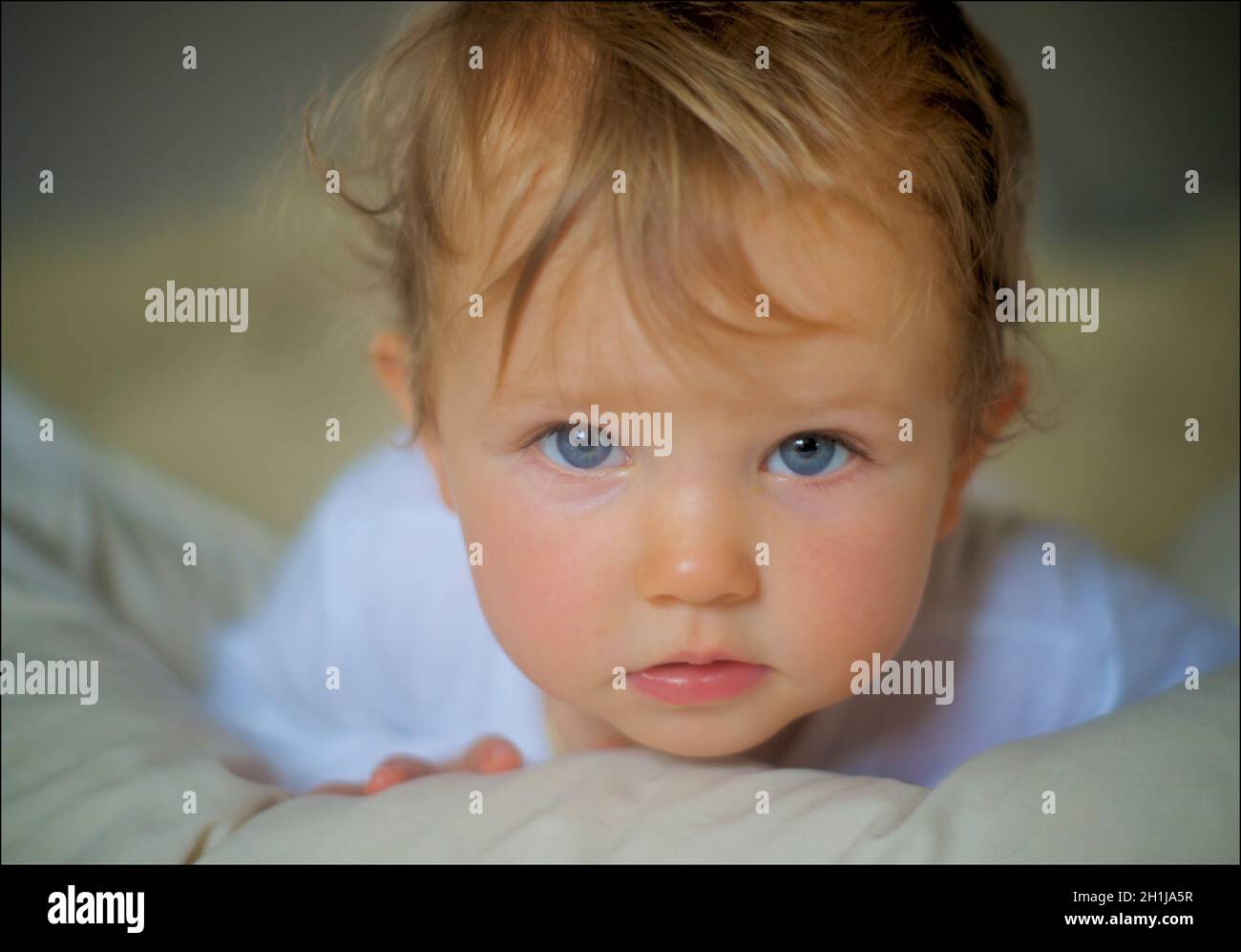 Portrait of an English baby girl with blue eyes. Model Released Stock ...