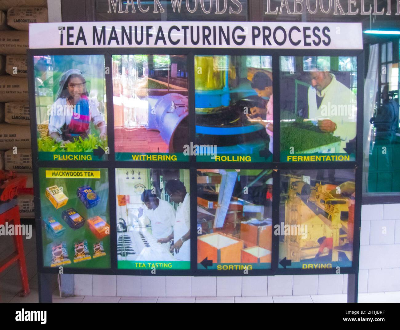 Tea manufacturing hi-res stock photography and images - Alamy