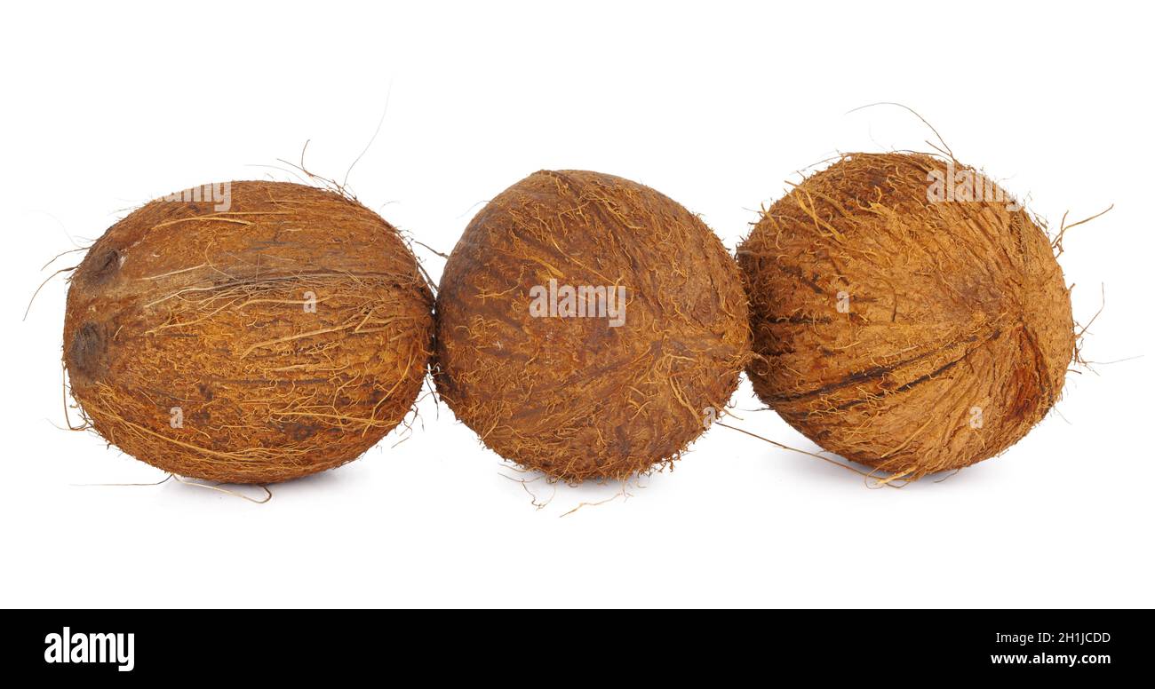 Whole coconut close up isolated on white background Stock Photo - Alamy