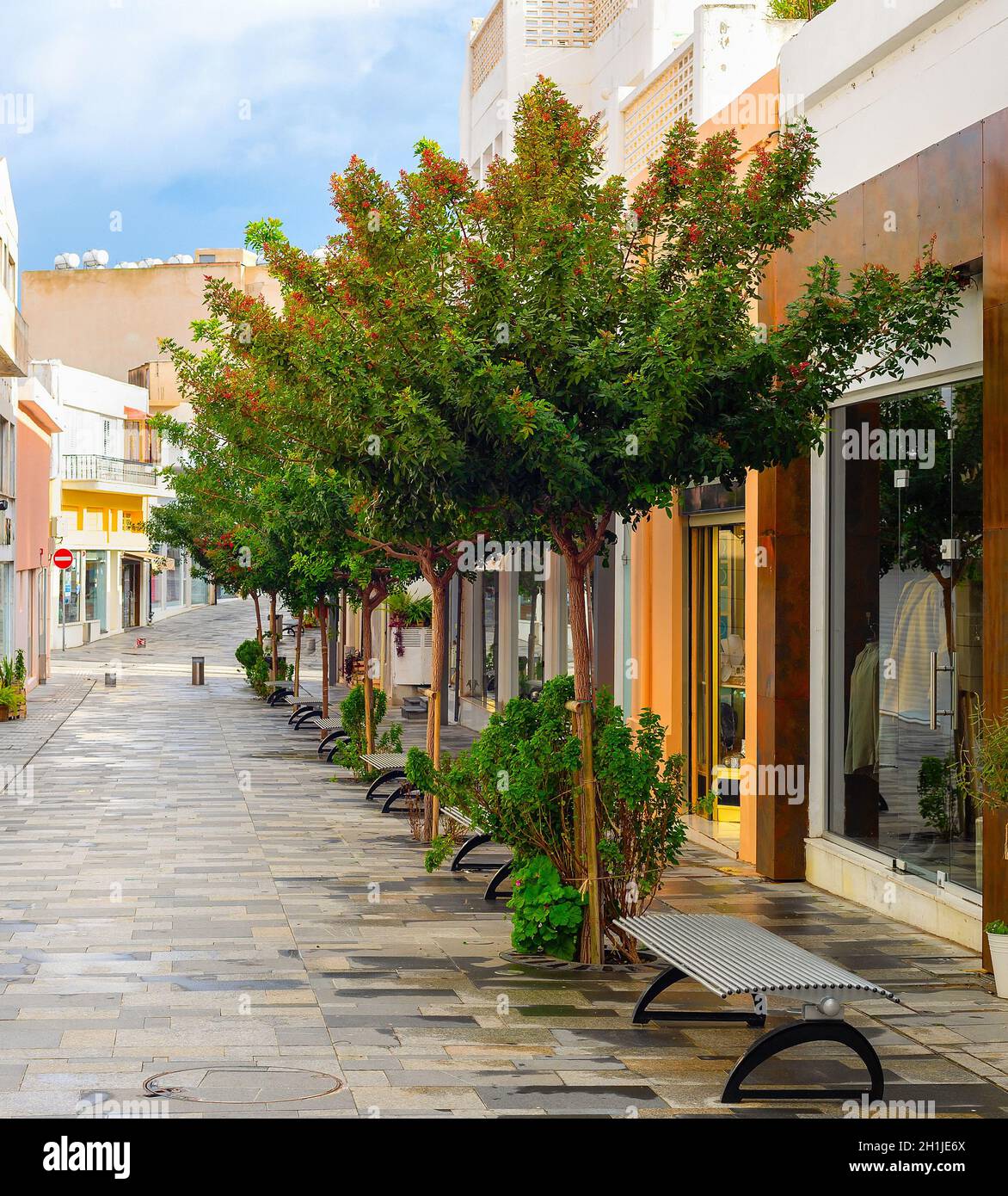 Shopping street in central touristic district of Paphos with green ...