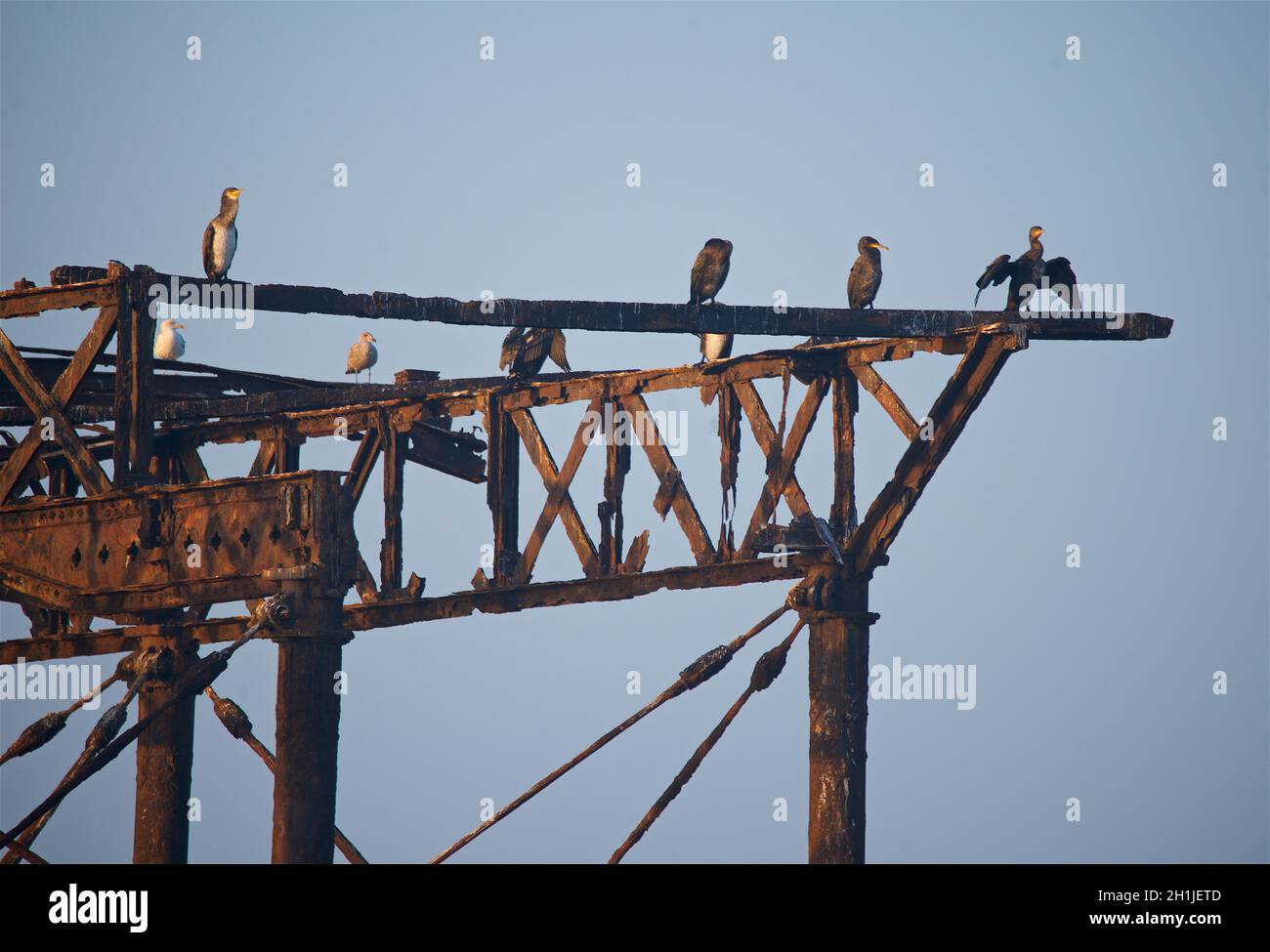 Victorian structure hi-res stock photography and images - Alamy