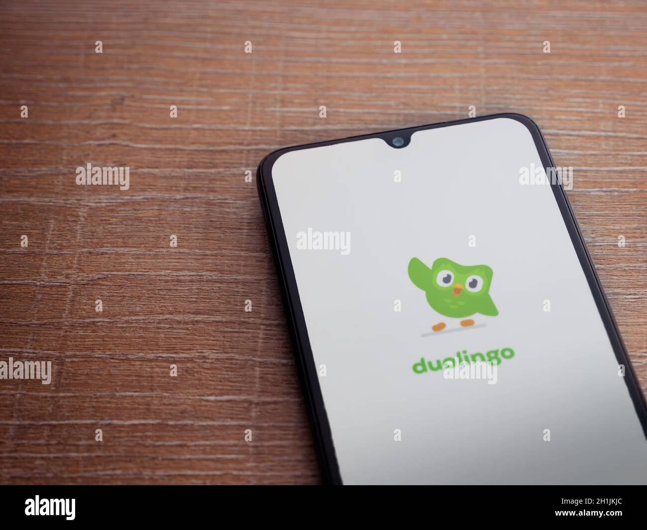 Duolingo symbol hi-res stock photography and images - Alamy