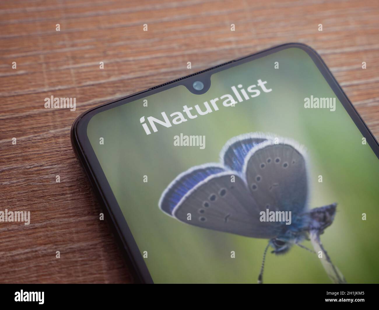 Lod, Israel - July 8, 2020: iNaturalist app launch screen with logo on ...