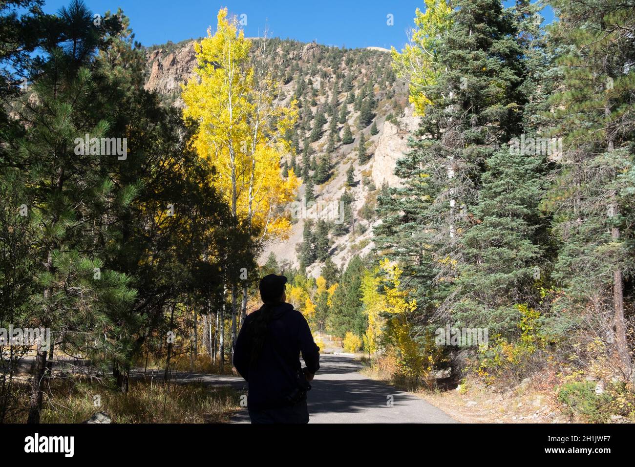 Fall foliage New Mexico Stock Photo - Alamy