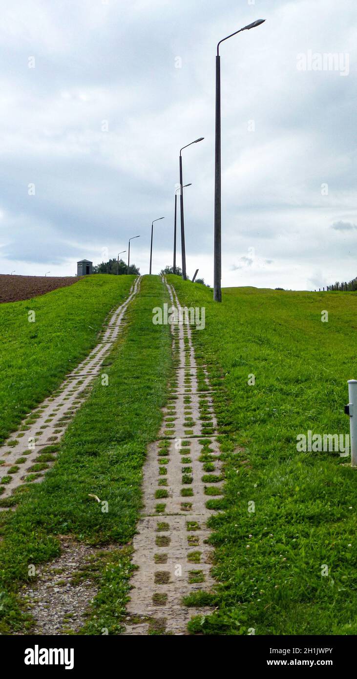 Vertical shot of a pathway in a green grassy field surrounded by street ...