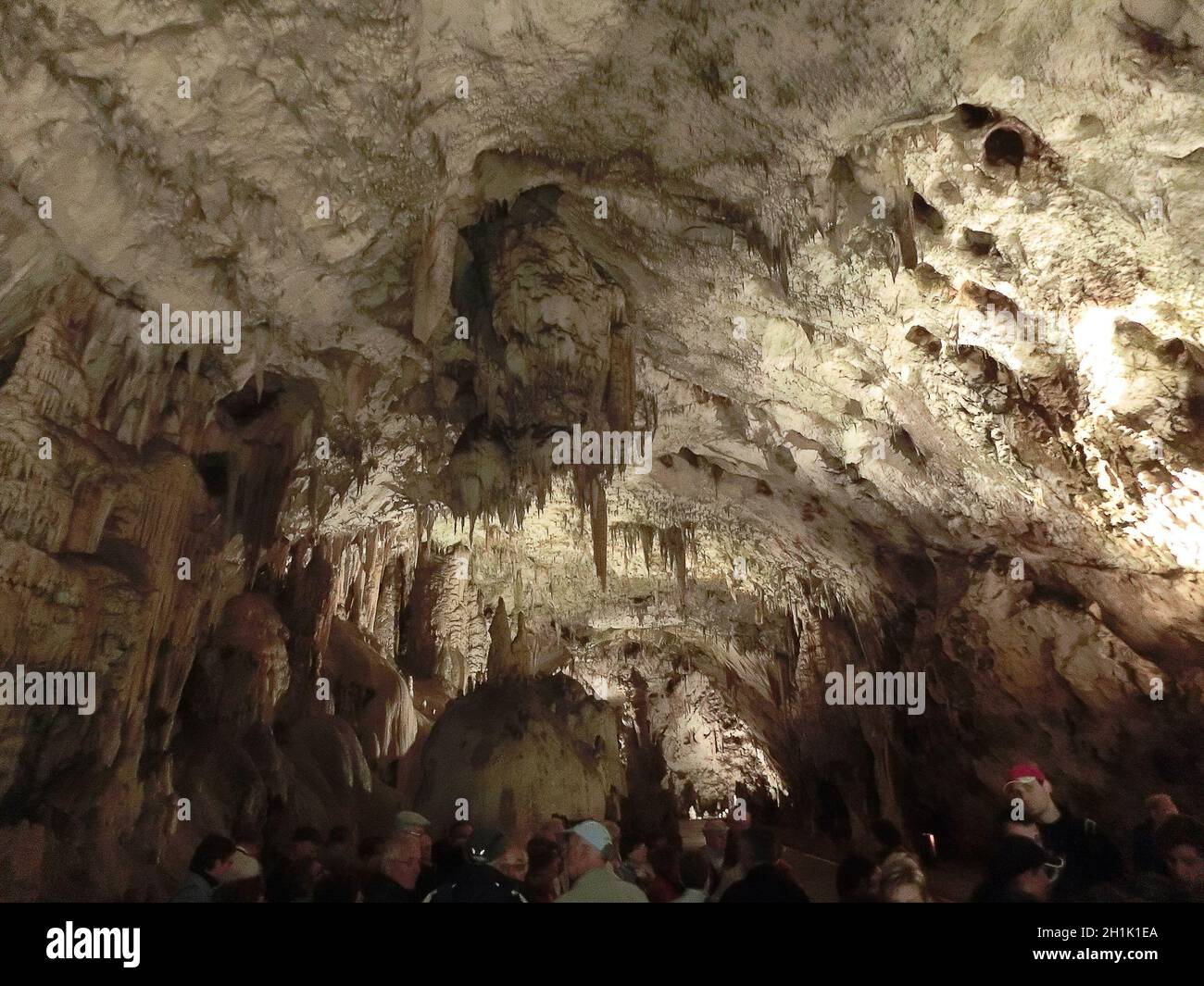 Postojnska jama hi-res stock photography and images - Alamy