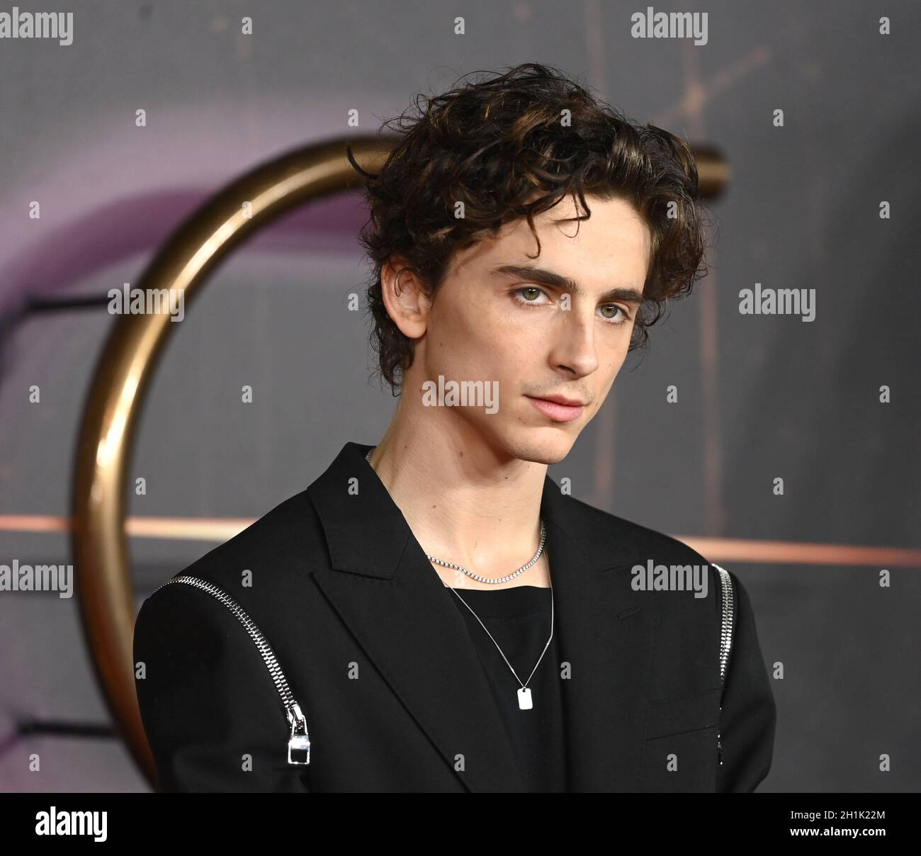 Photo Must Be Credited ©Alpha Press 079965 18/10/2021 Timothee Chalamet ...