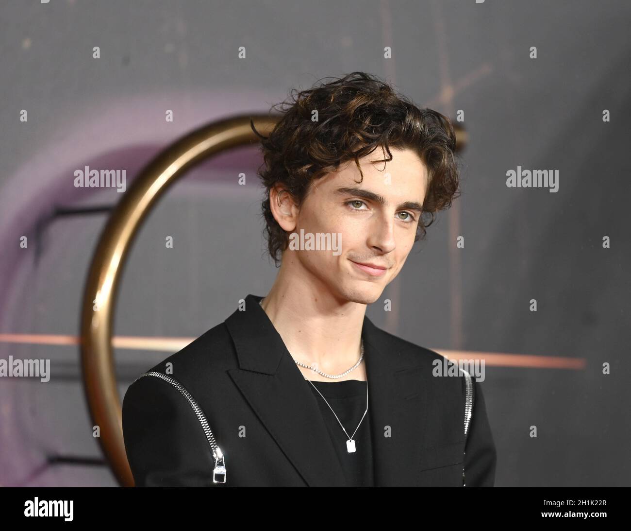 Photo Must Be Credited ©Alpha Press 079965 18/10/2021 Timothee Chalamet ...