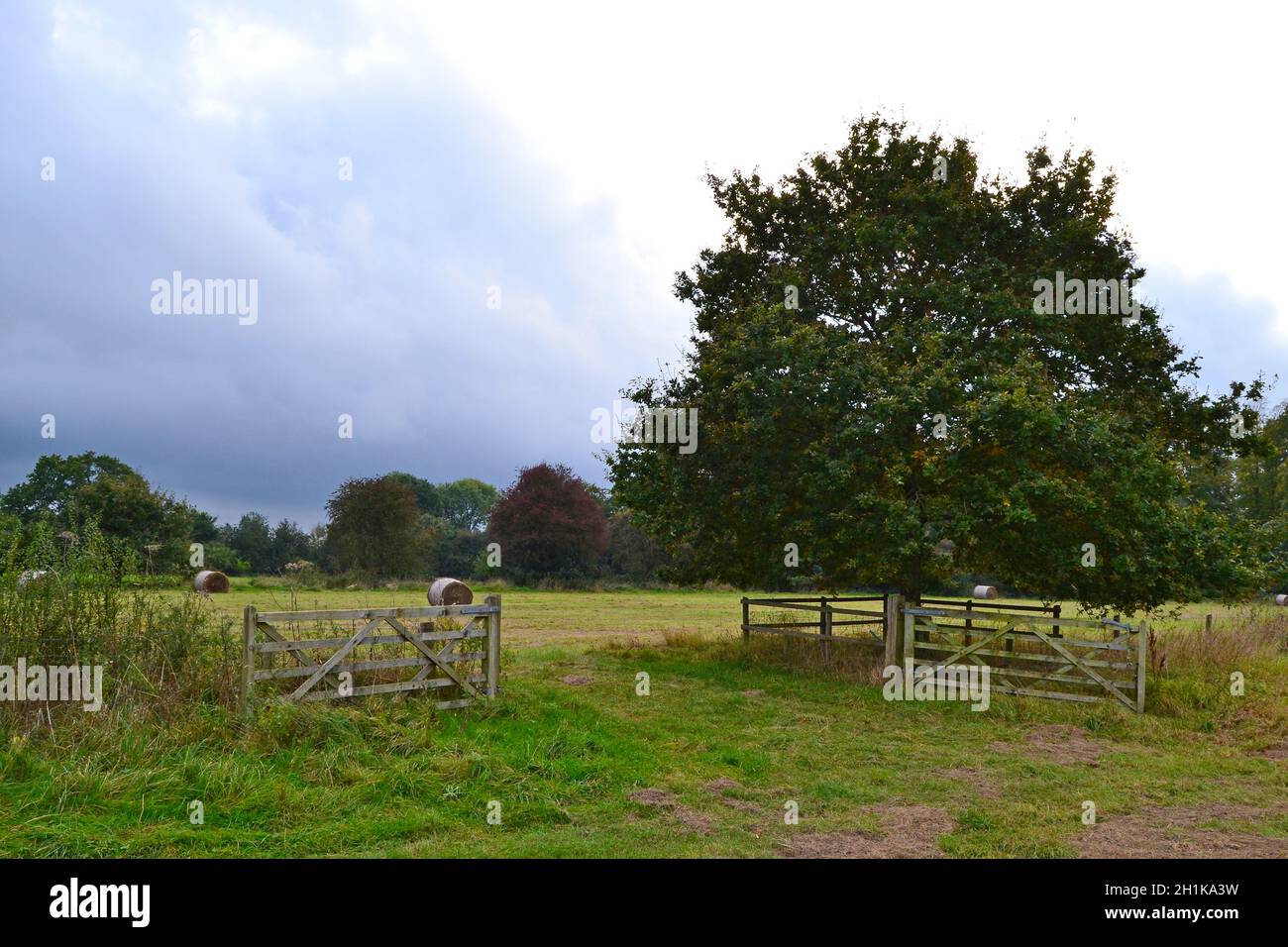 Open gate into field with hay bales, in Downe, Kent adjacent to Charles ...