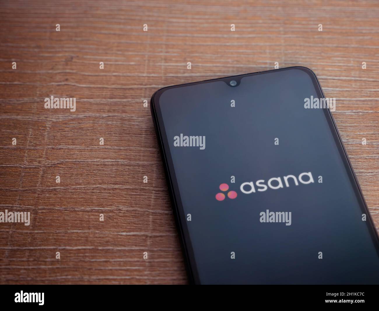 Asana logo hi-res stock photography and images - Alamy