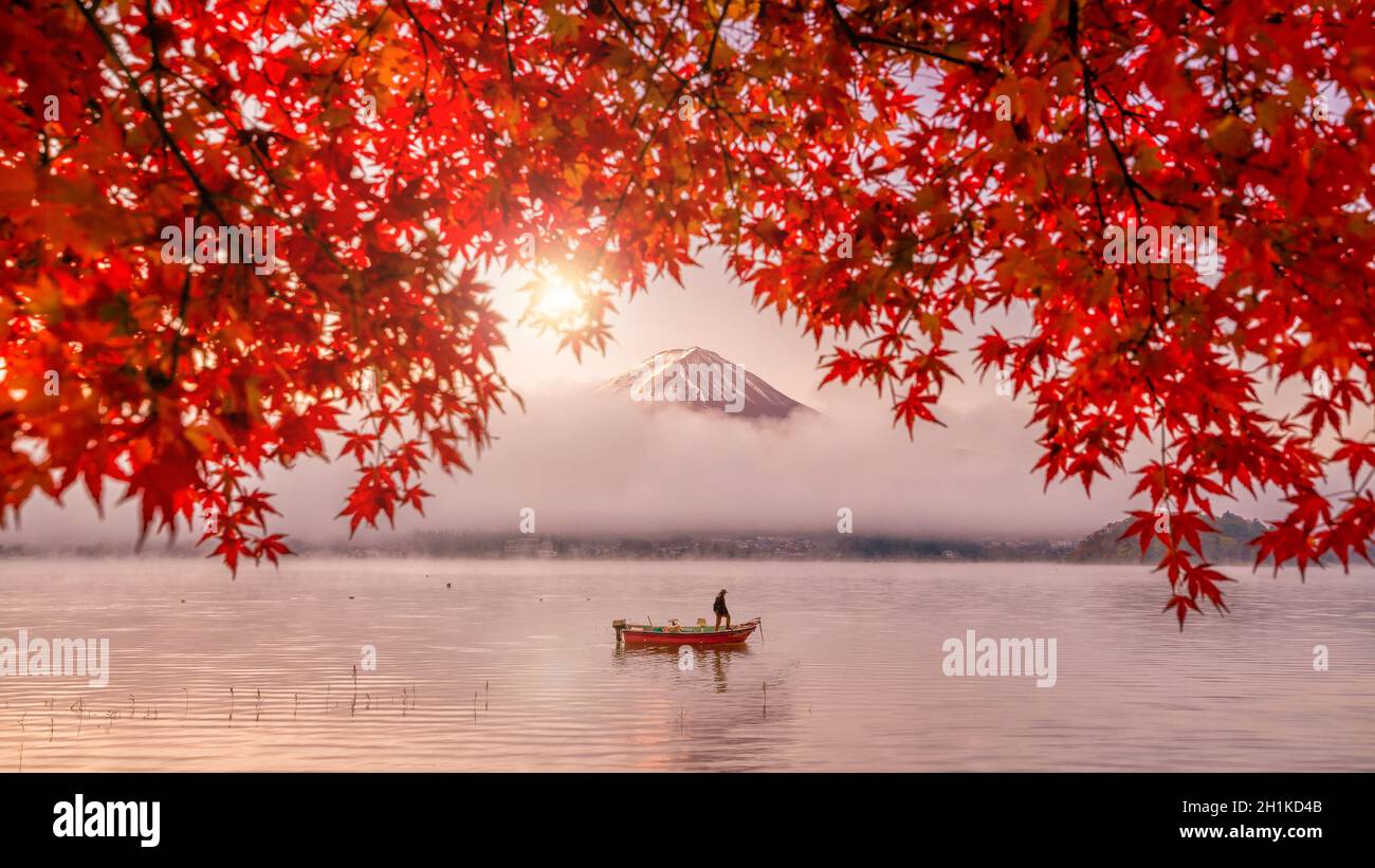 Red maple tree fuji mountain hi-res stock photography and images - Alamy