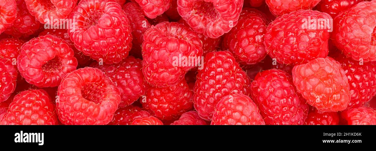 Raspberry berry raspberries berries fruits fruit background panorama ...