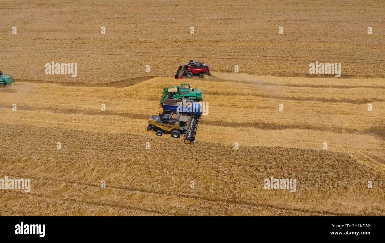 Krasnodar, Russia - July 22, 2017: Harvesting wheat harvester ...