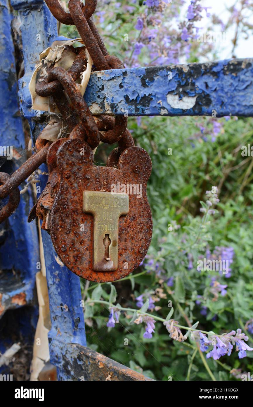 Blue gate with peeling paint hi-res stock photography and images - Alamy