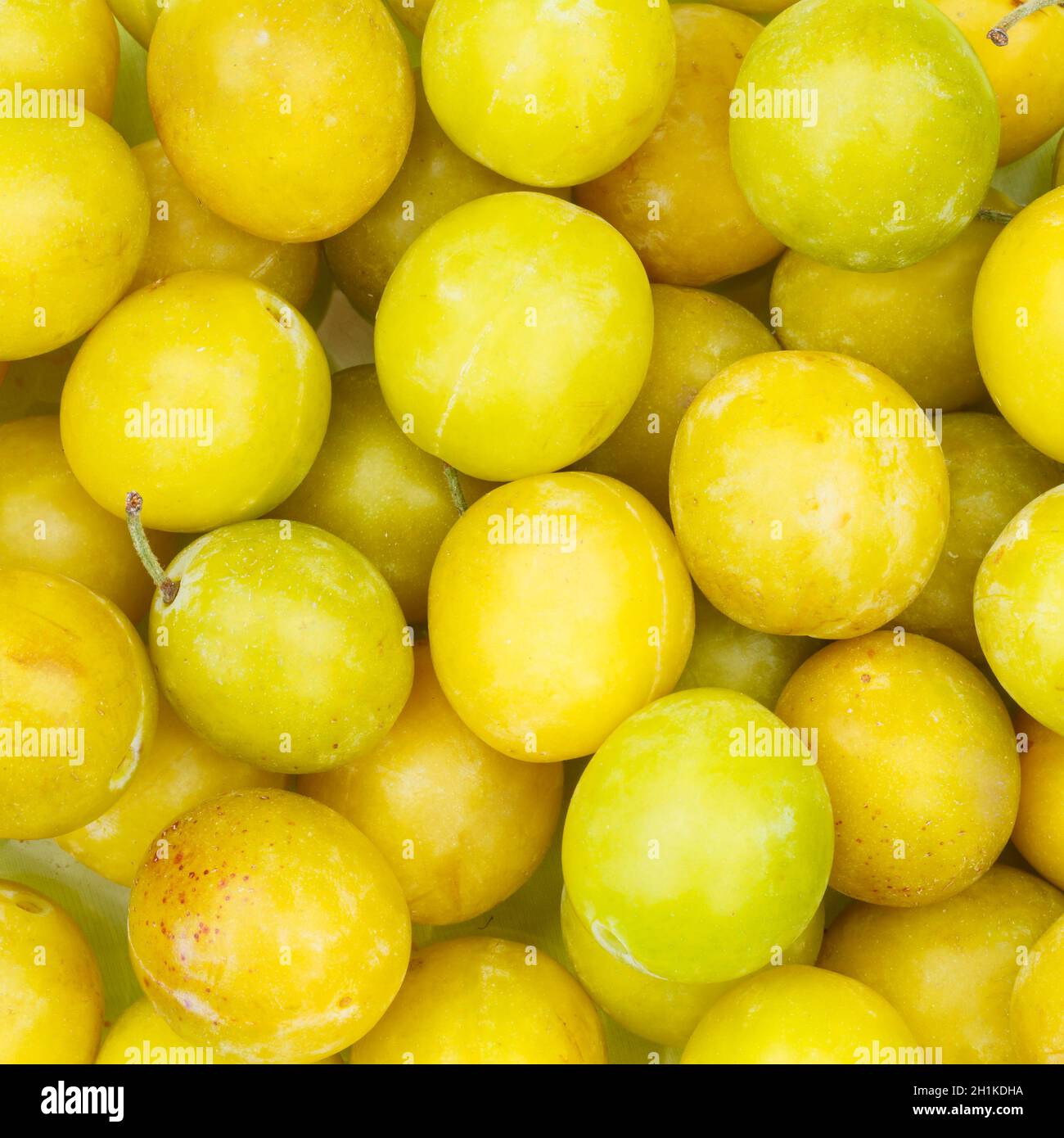 Mirabelles fruits mirabelle plum fruit background square from above ...