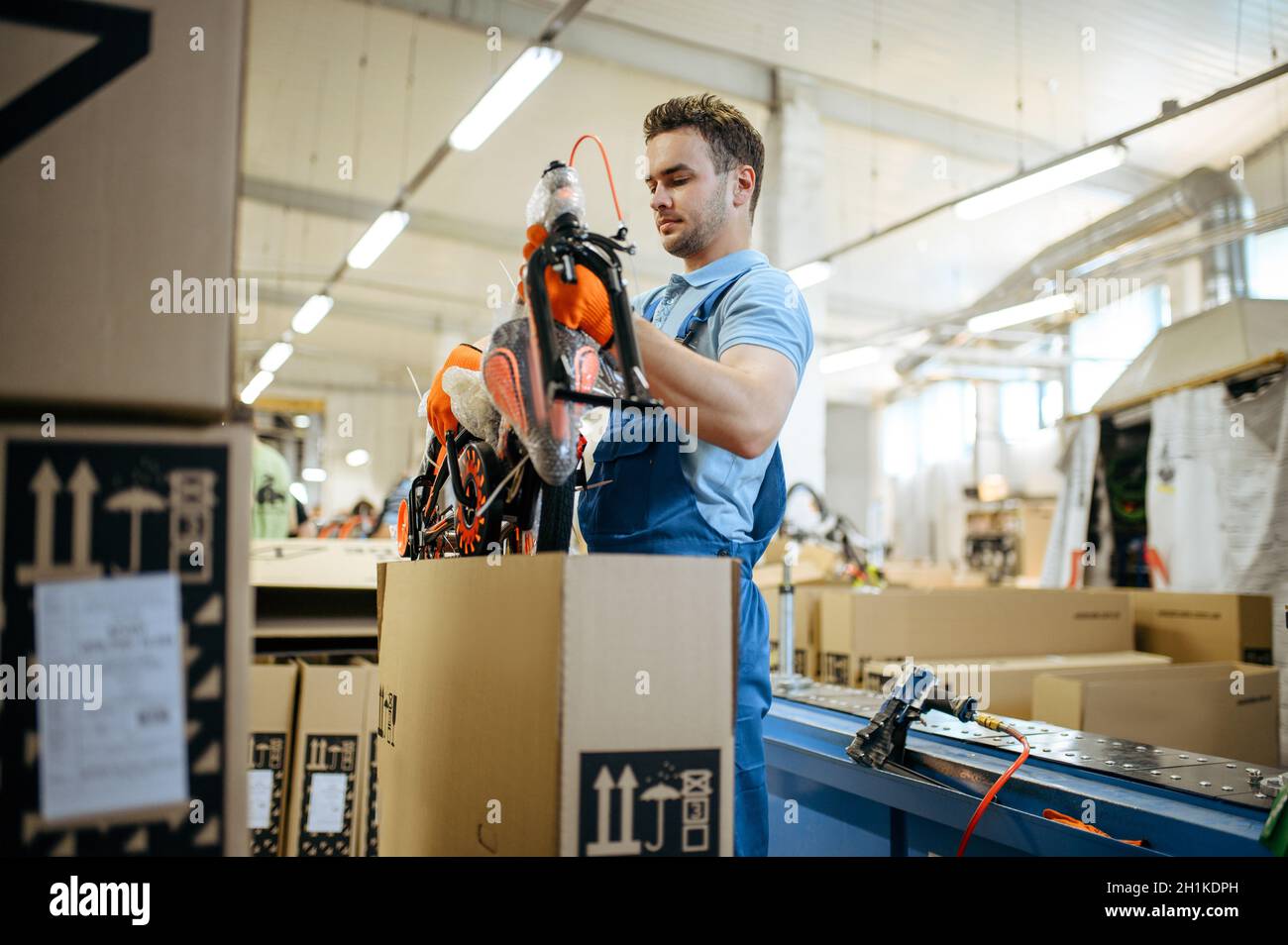 Bicycle factory, worker packs teen bike in box. Male mechanic in ...