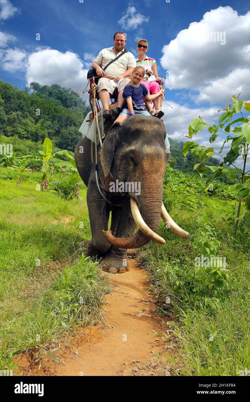 Riding an elephant. A young family with a child ride an elephant on a ...