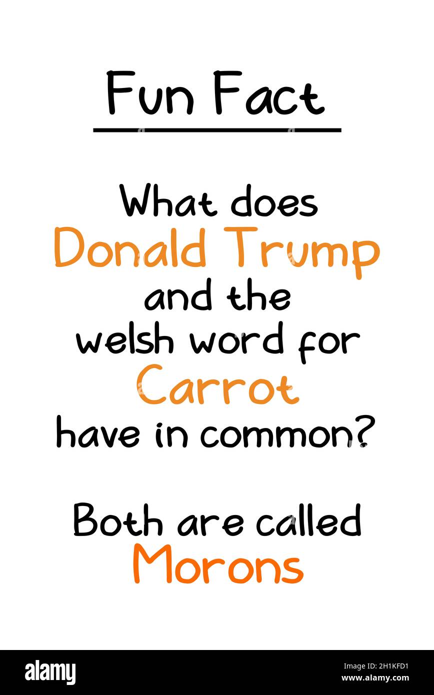 Donald Trump and Welsh Carrot Stock Photo - Alamy