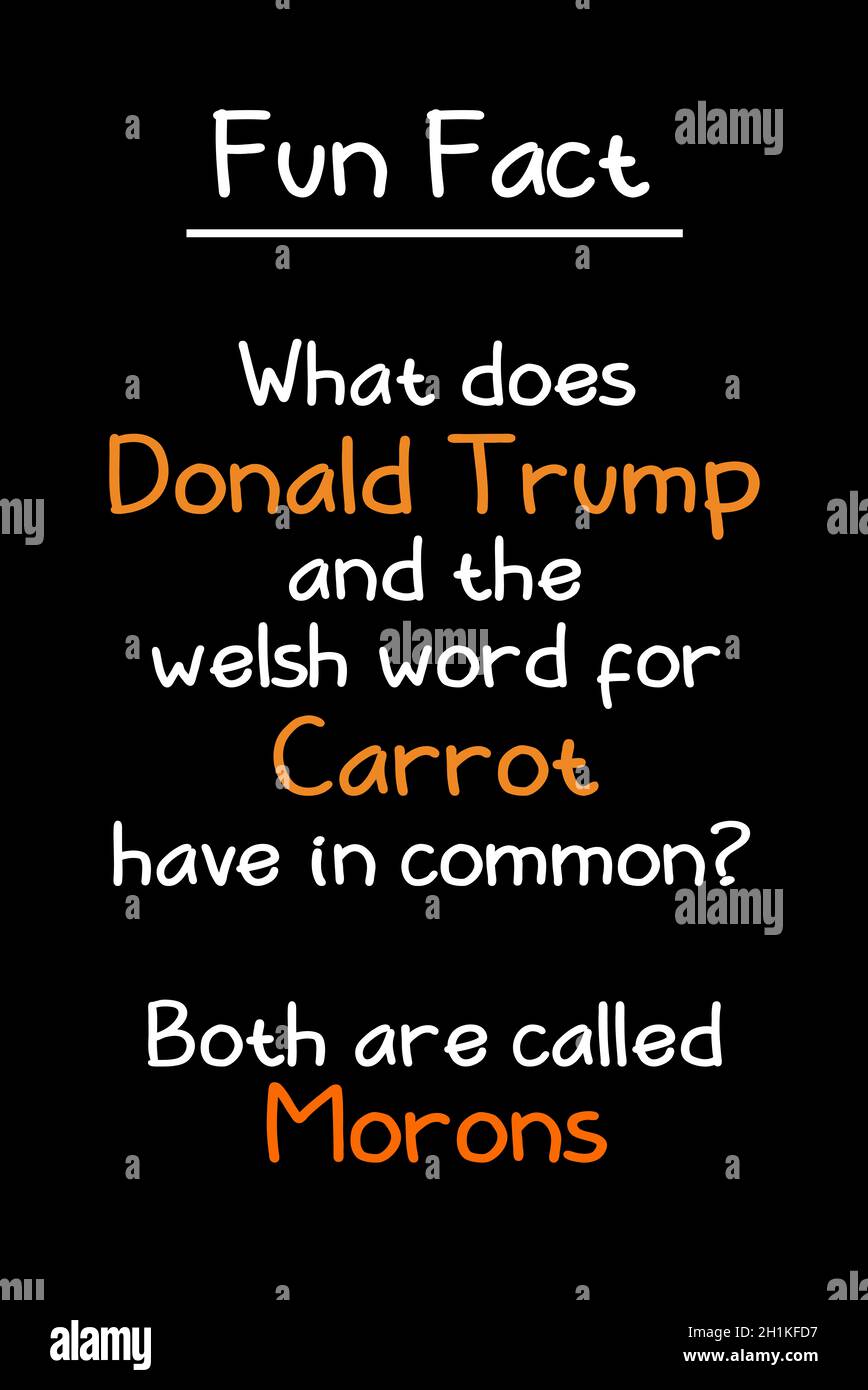 Donald Trump and Welsh Carrot Stock Photo - Alamy