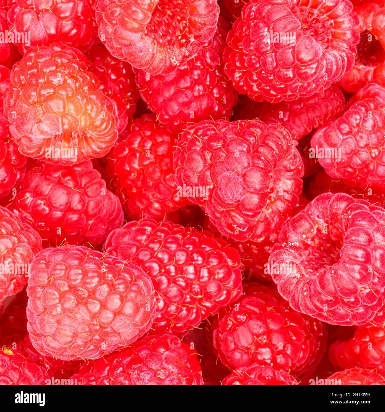 Raspberry berry raspberries berries fruits fruit background square from ...