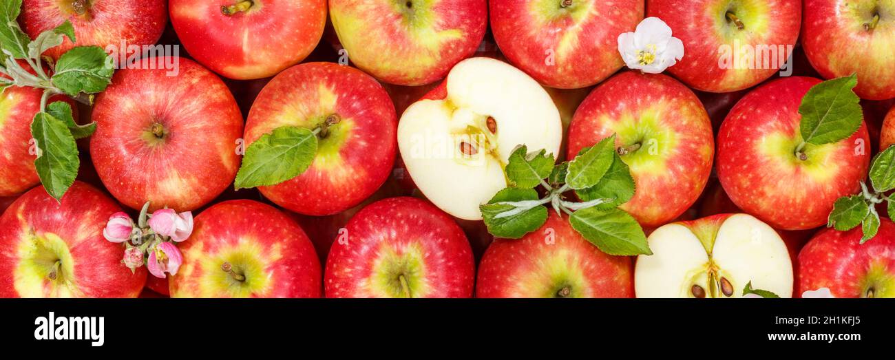 Apples fruits red apple fruit with leaves from above panorama ...
