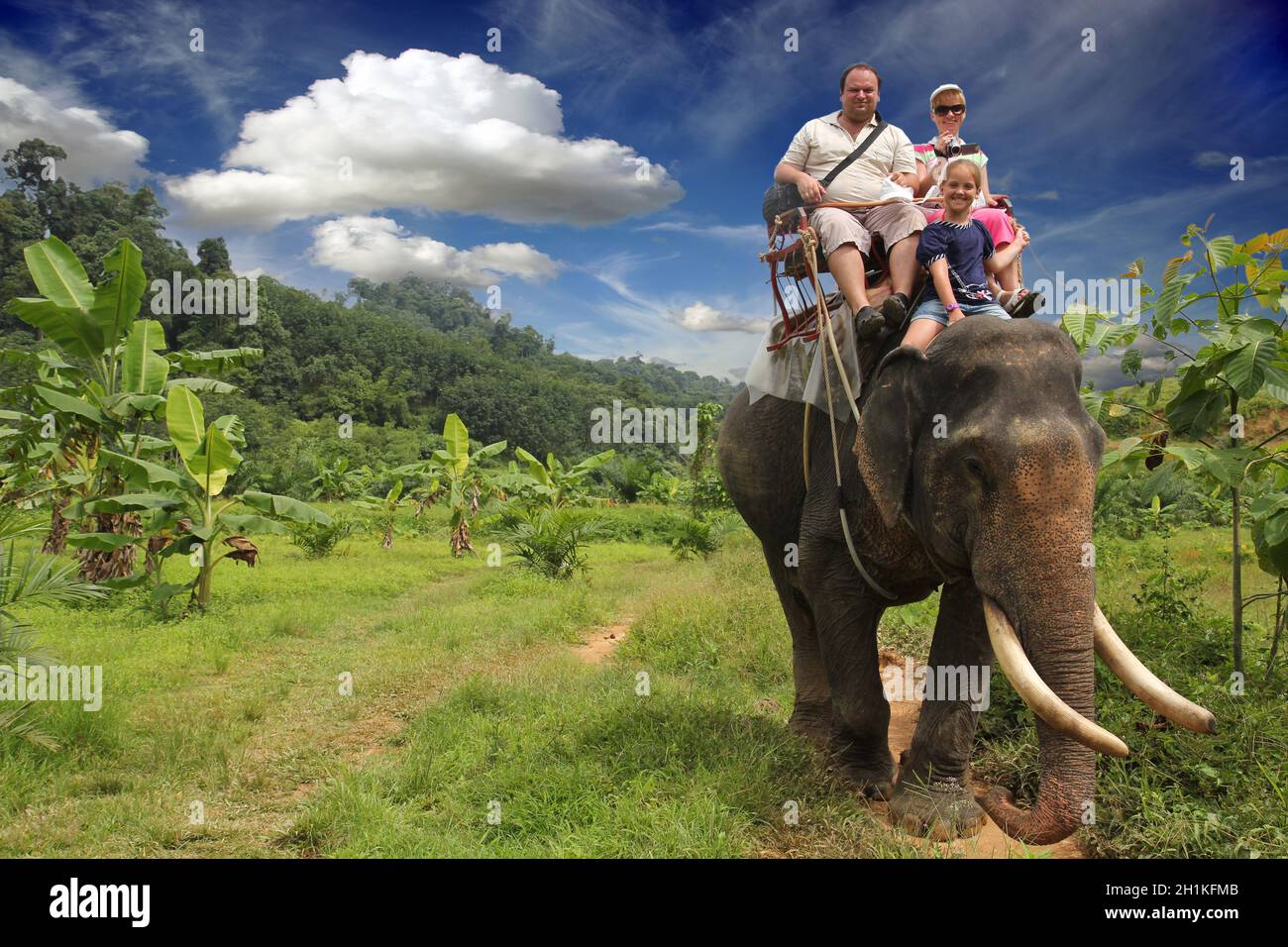 Riding an elephant. A young family with a child ride an elephant on a ...