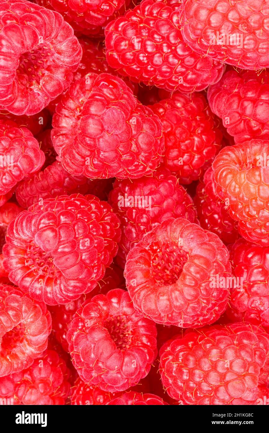 Raspberry berry raspberries berries fruits fruit background portrait ...