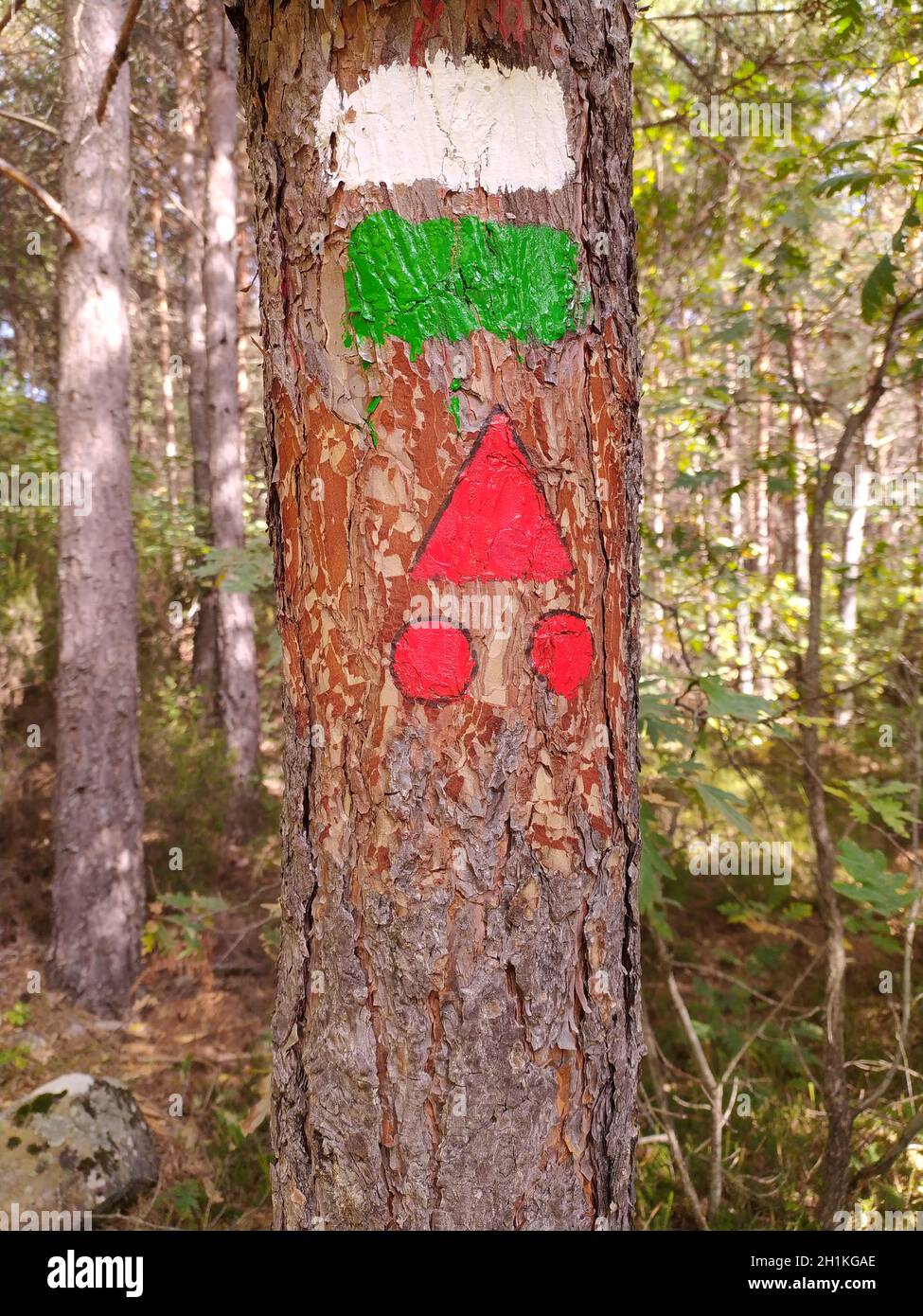 Vertical shot of trail signs marked on a tree trunk Stock Photo - Alamy