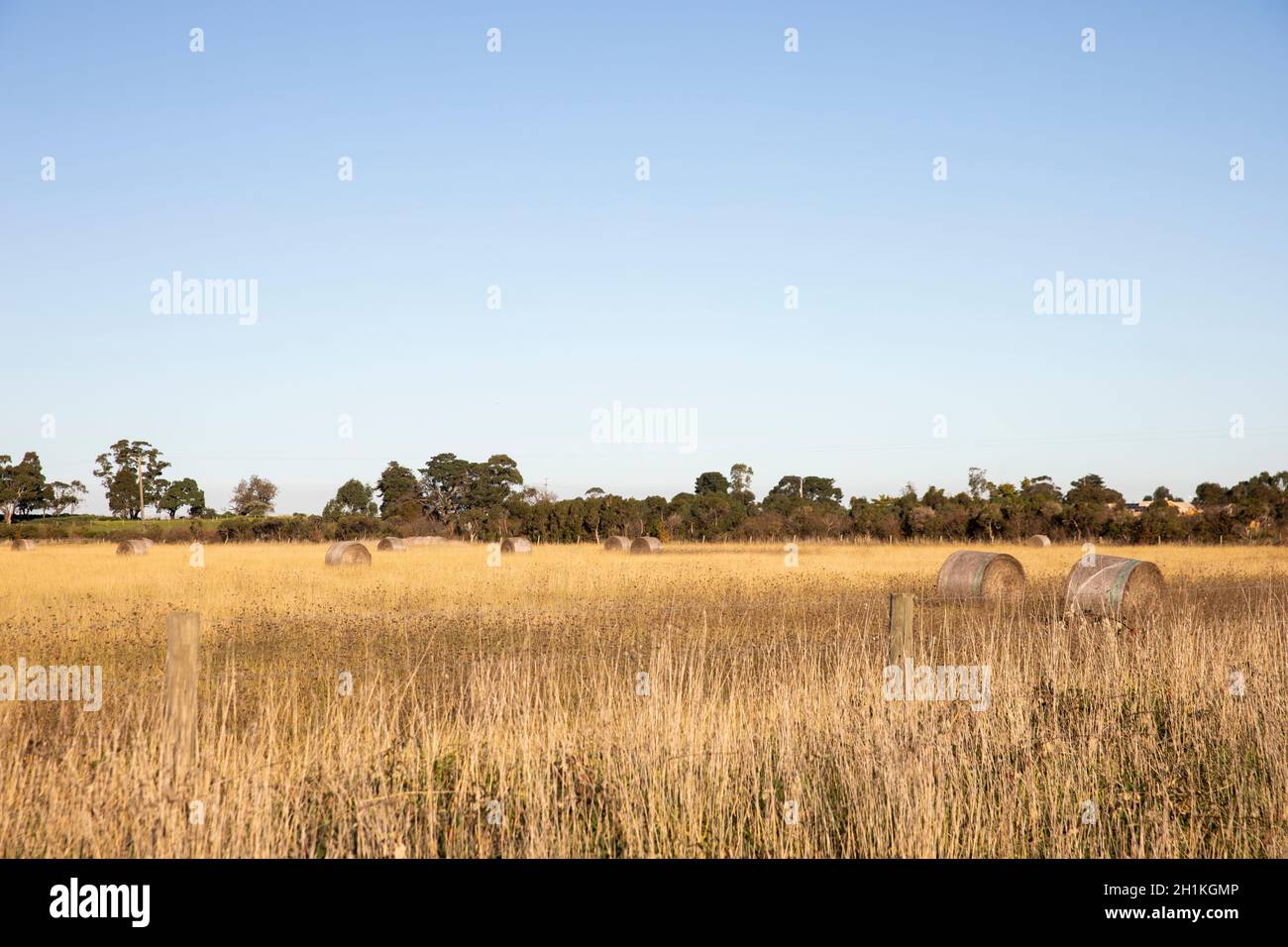 Hay bail field sunset hi-res stock photography and images - Alamy