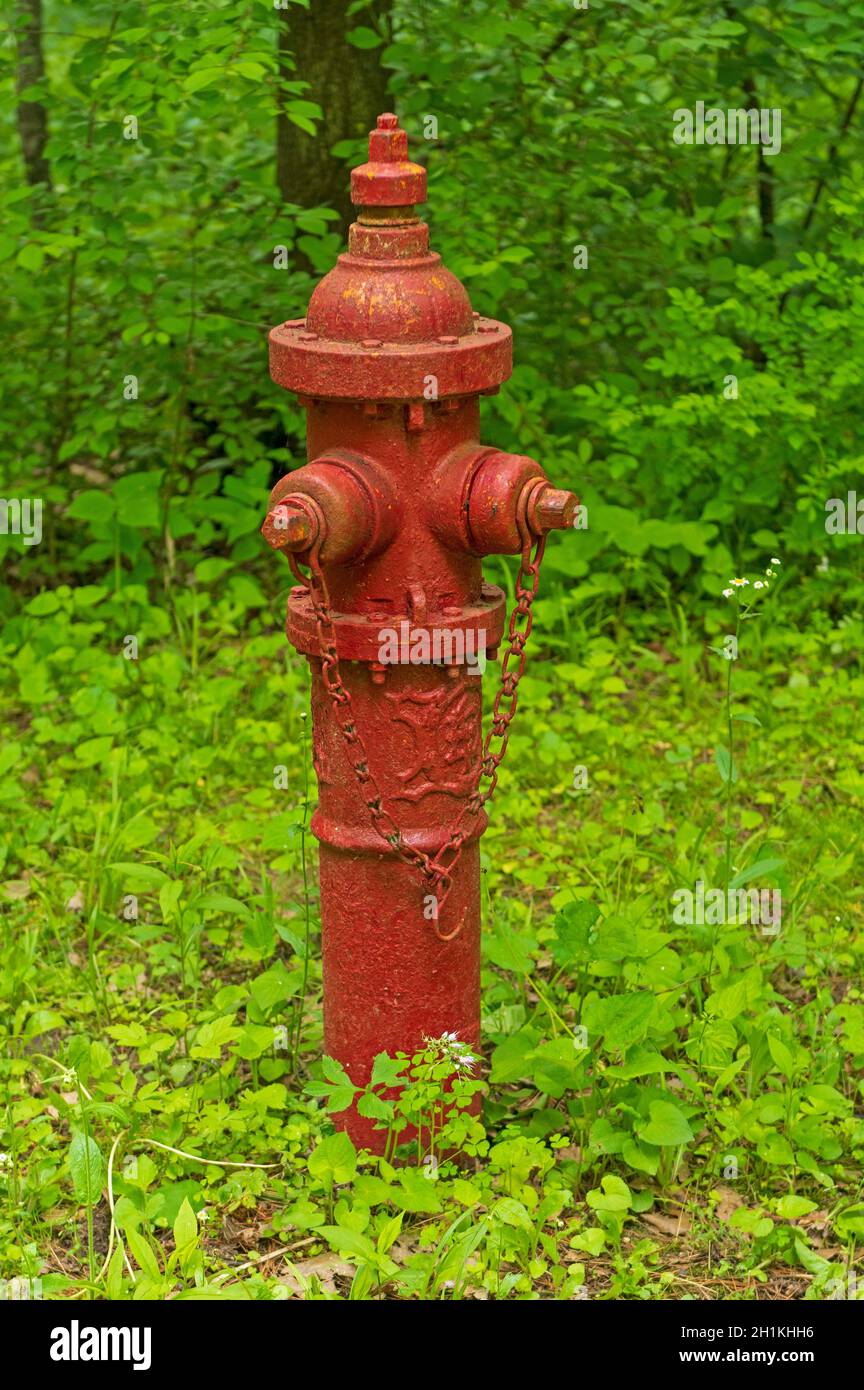 Fire Hydrant in the Forest in White Pines State Park in Illinois Stock ...