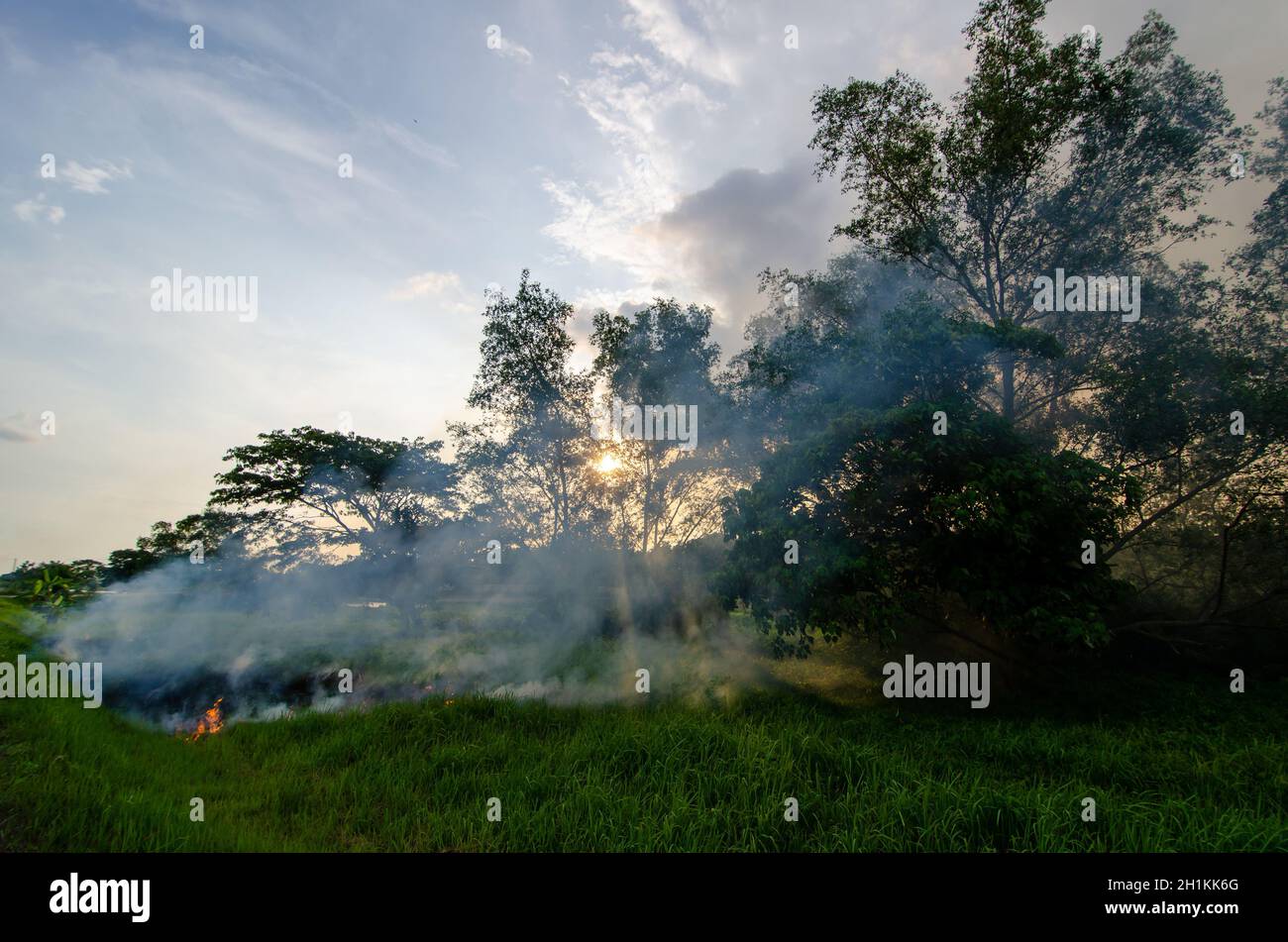 Open burn hi-res stock photography and images - Alamy