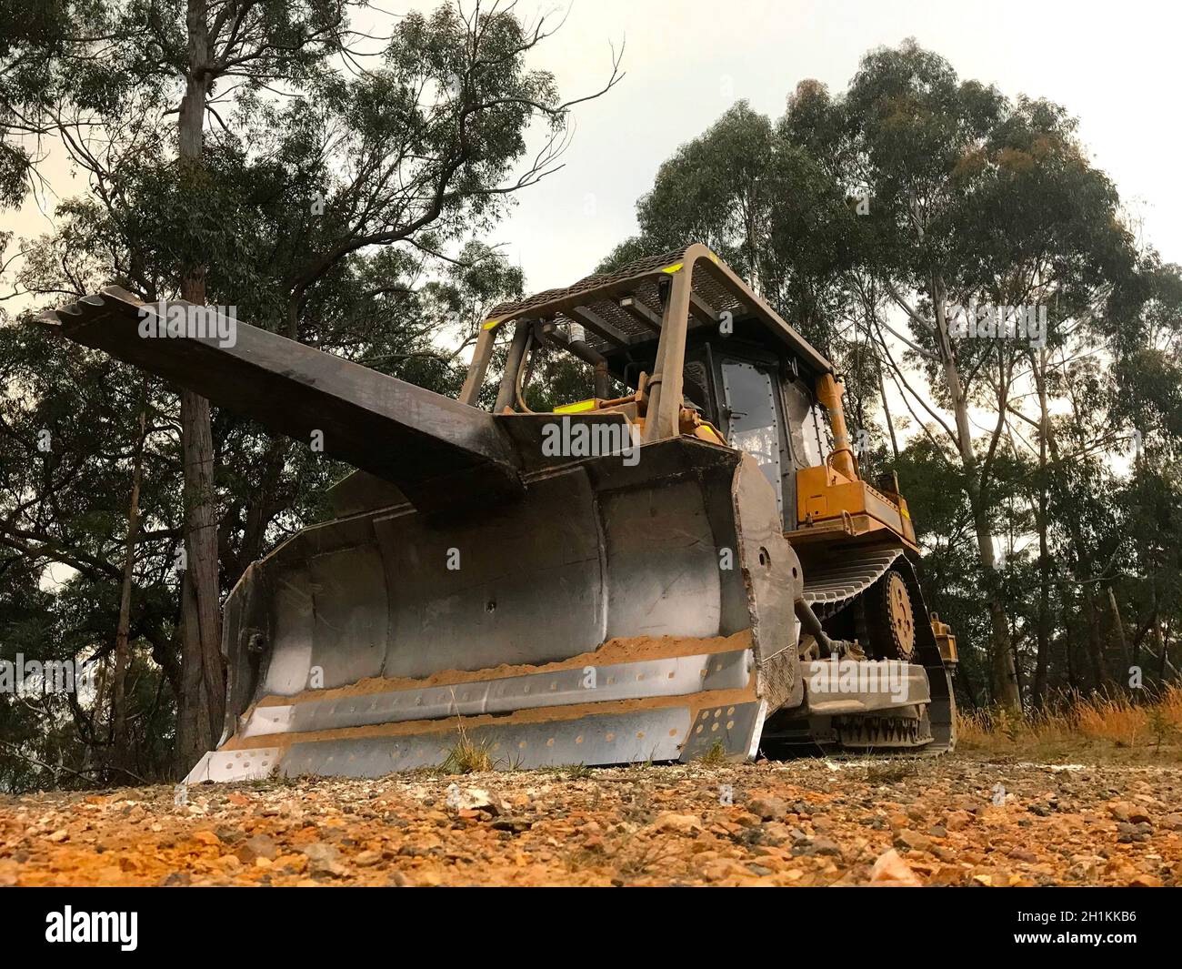 Bulldozer with tree pusher attachment Stock Photo - Alamy