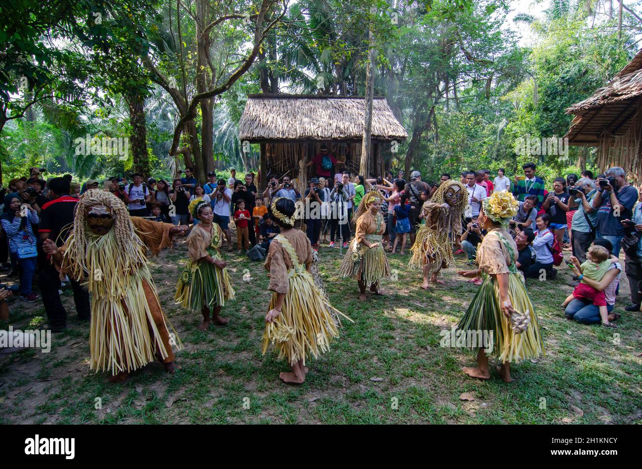 Carey Island, Selangor/Malaysia - Mar 17 2018: Malaysia indigenous Mah ...