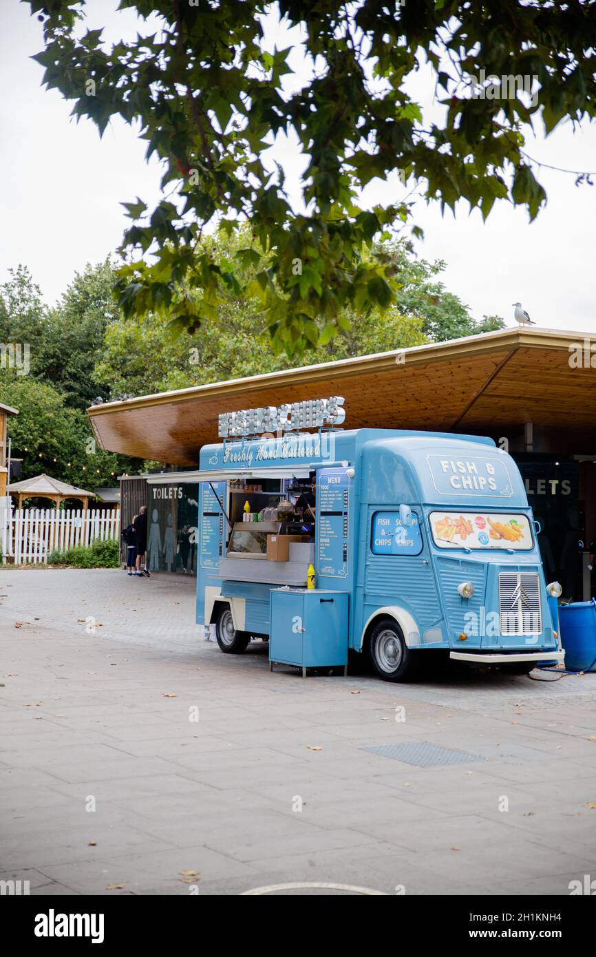 London, UK - September 30, 2020: Portrait style picture of a blue fish ...