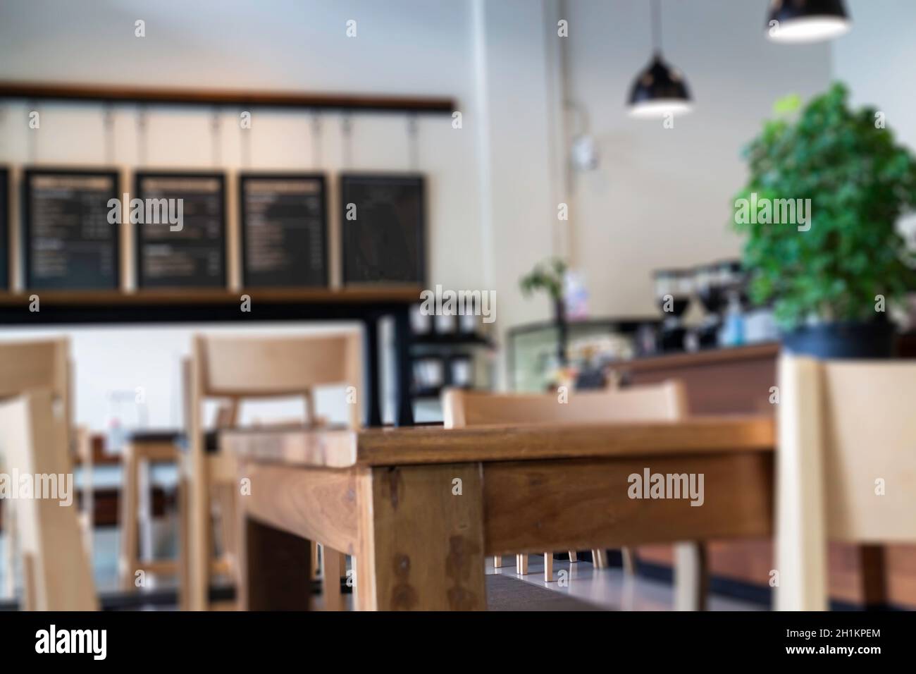 Cafe interior environment with green plant, stock photo Stock Photo - Alamy