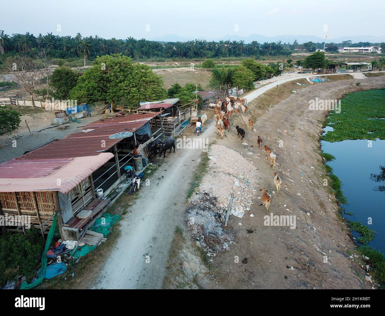 Seberang perai hi-res stock photography and images - Alamy