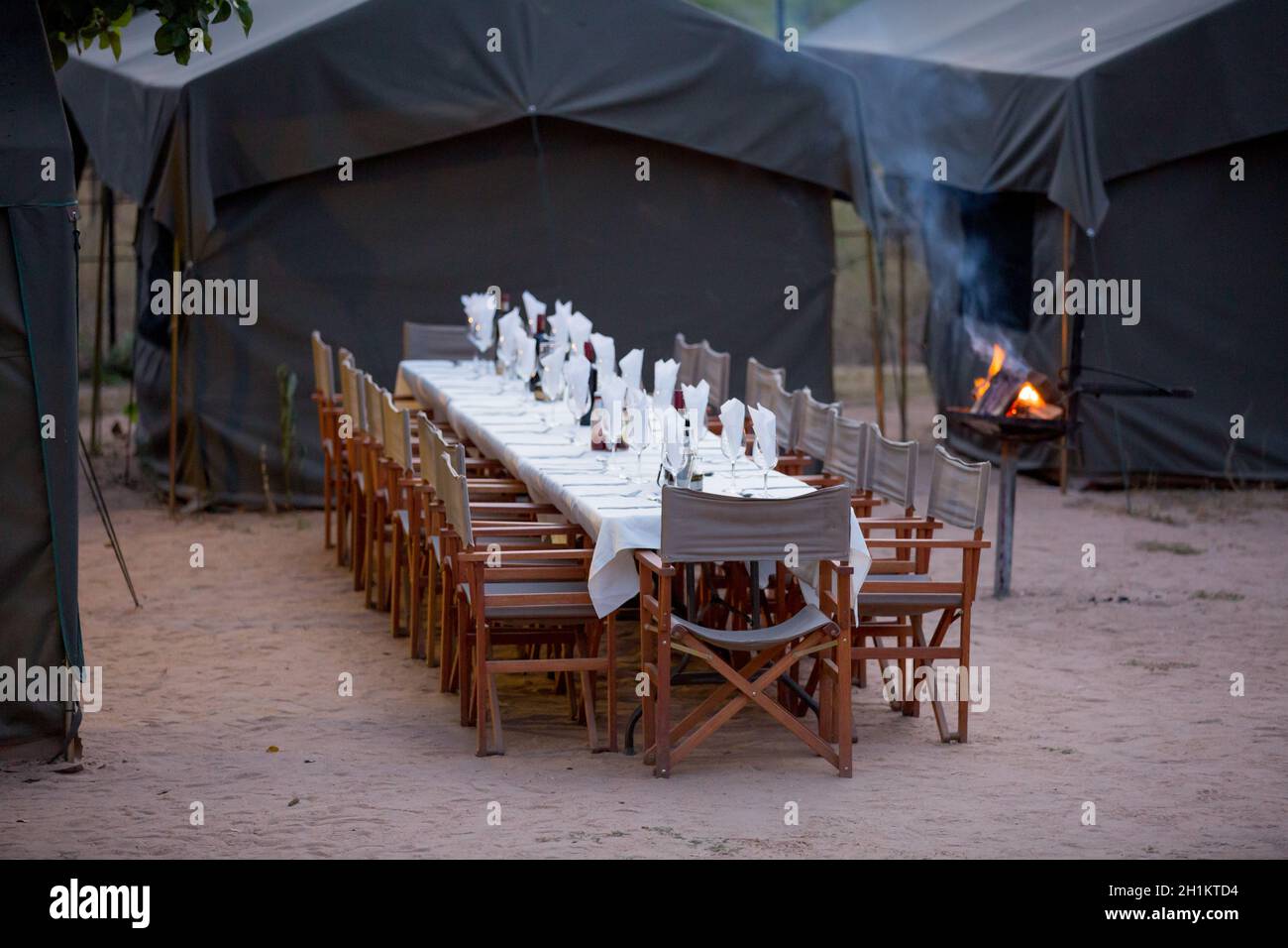 Safari Dinner table Stock Photo - Alamy