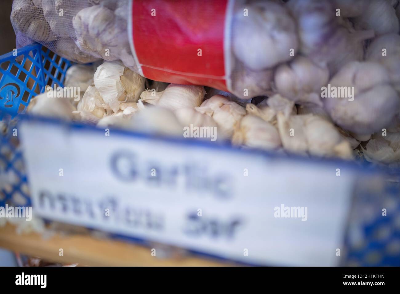 Picture of the word Garlic Written on a blurry Sign on a Blue Plastic ...