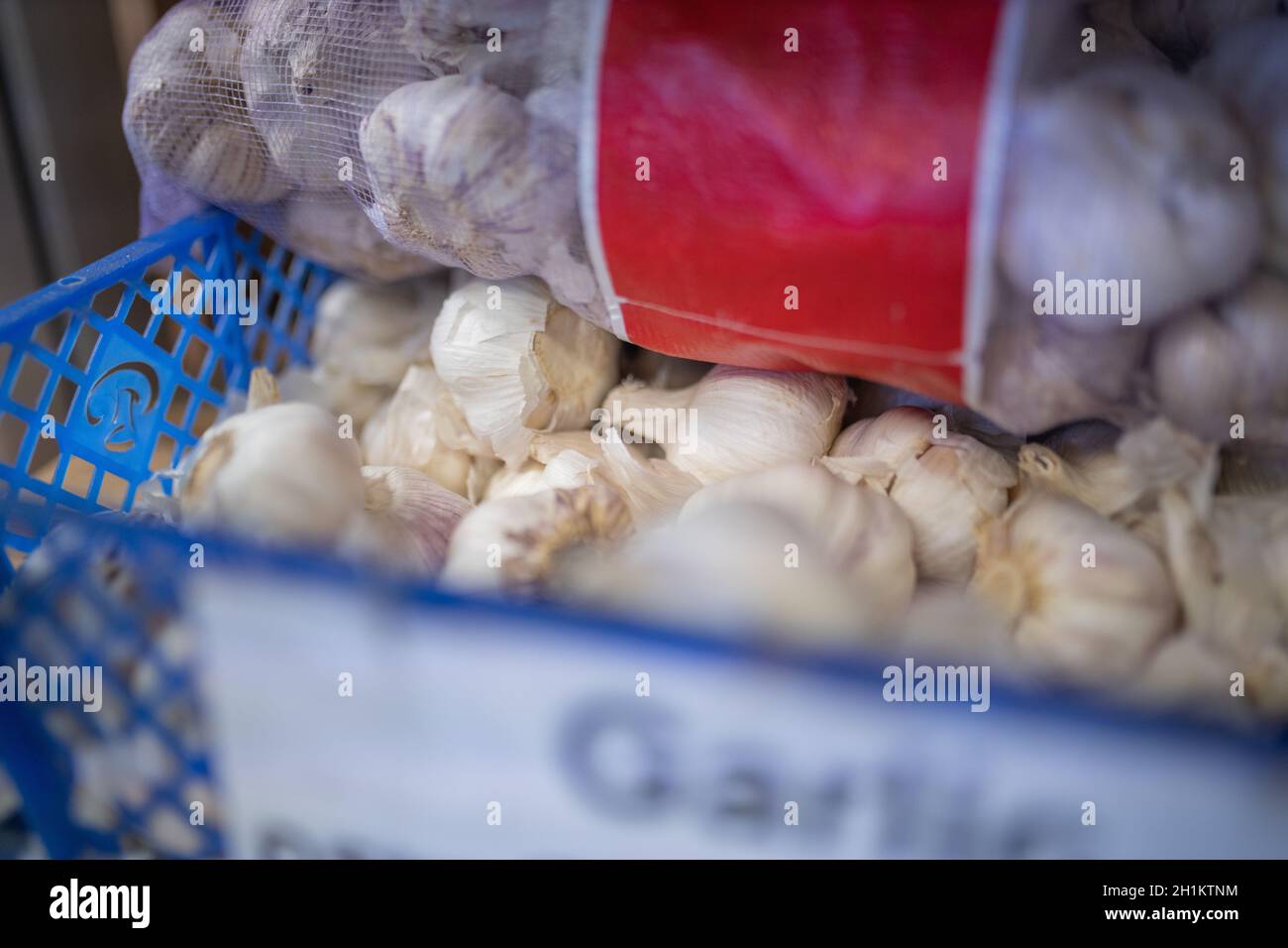 Picture of the word Garlic Written on a blurry Sign on a Blue Plastic ...