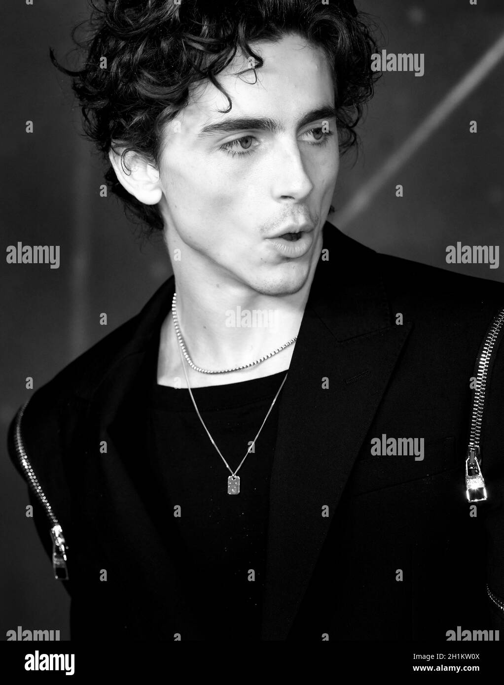 Timothe chalamet Black and White Stock Photos & Images - Alamy