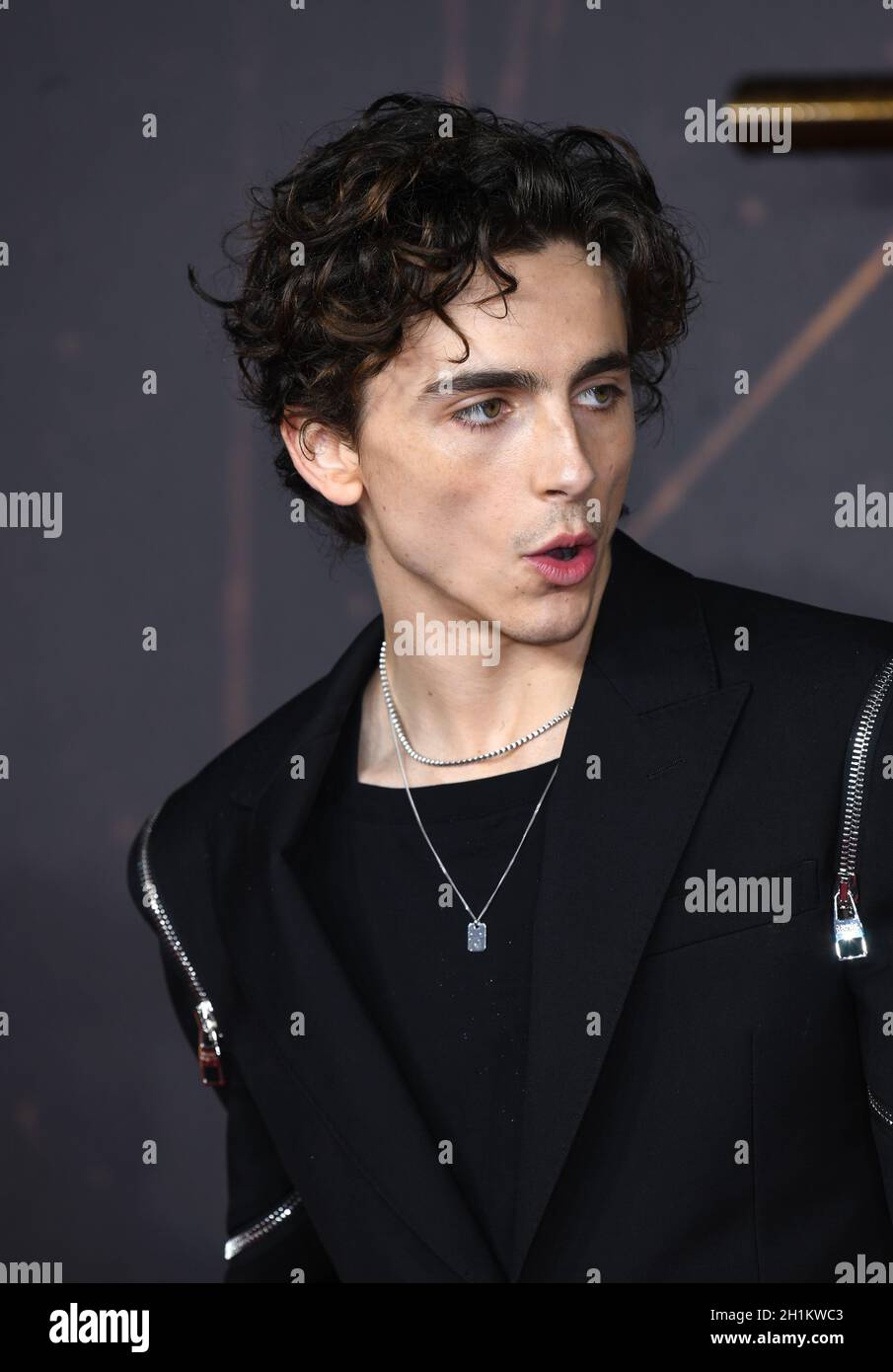 October 18th, 2021. London, UK. Timoth ée Chalamet arriving at the Dune ...