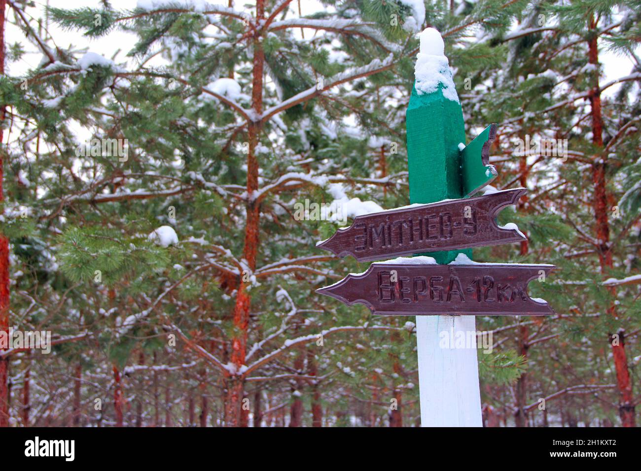 Milestone from wooden boards in wood indicating direction of movement ...