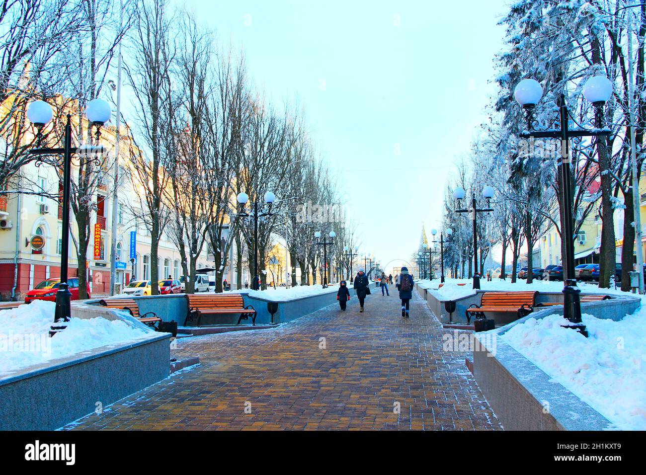Beautiful winter park with trees benches and path. Benches in cold ...