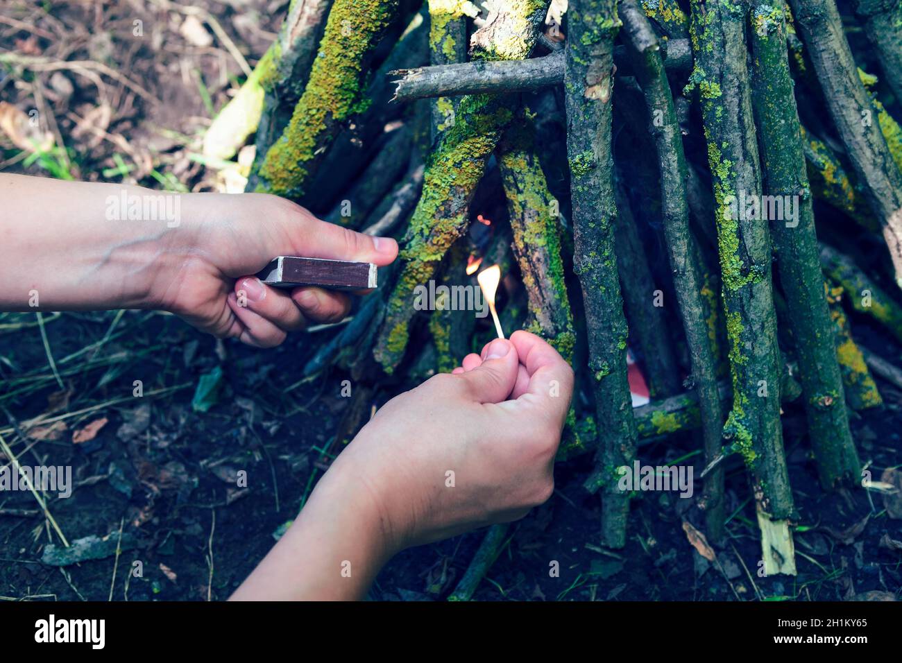 Setting fire to a picnic fire . Burning Matches in hands Stock Photo ...
