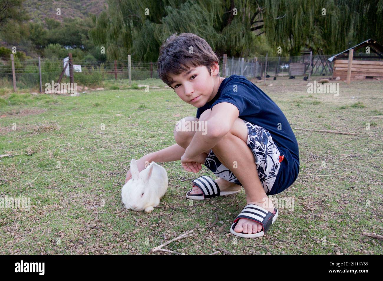 Boy africa rabbit hi-res stock photography and images - Alamy