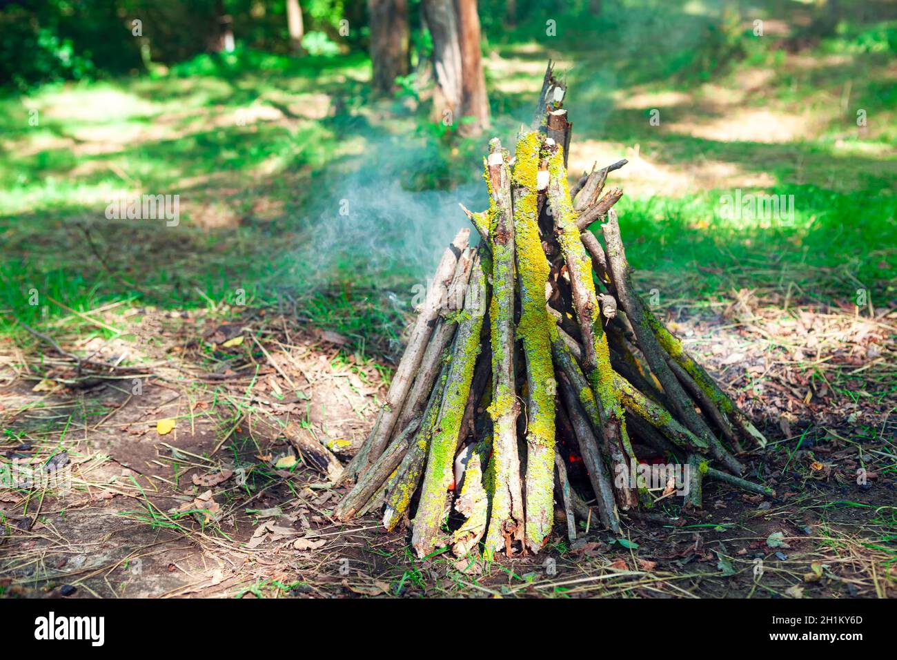 Firewood for camp in the forest . Dry Logs for Campfire Stock Photo - Alamy