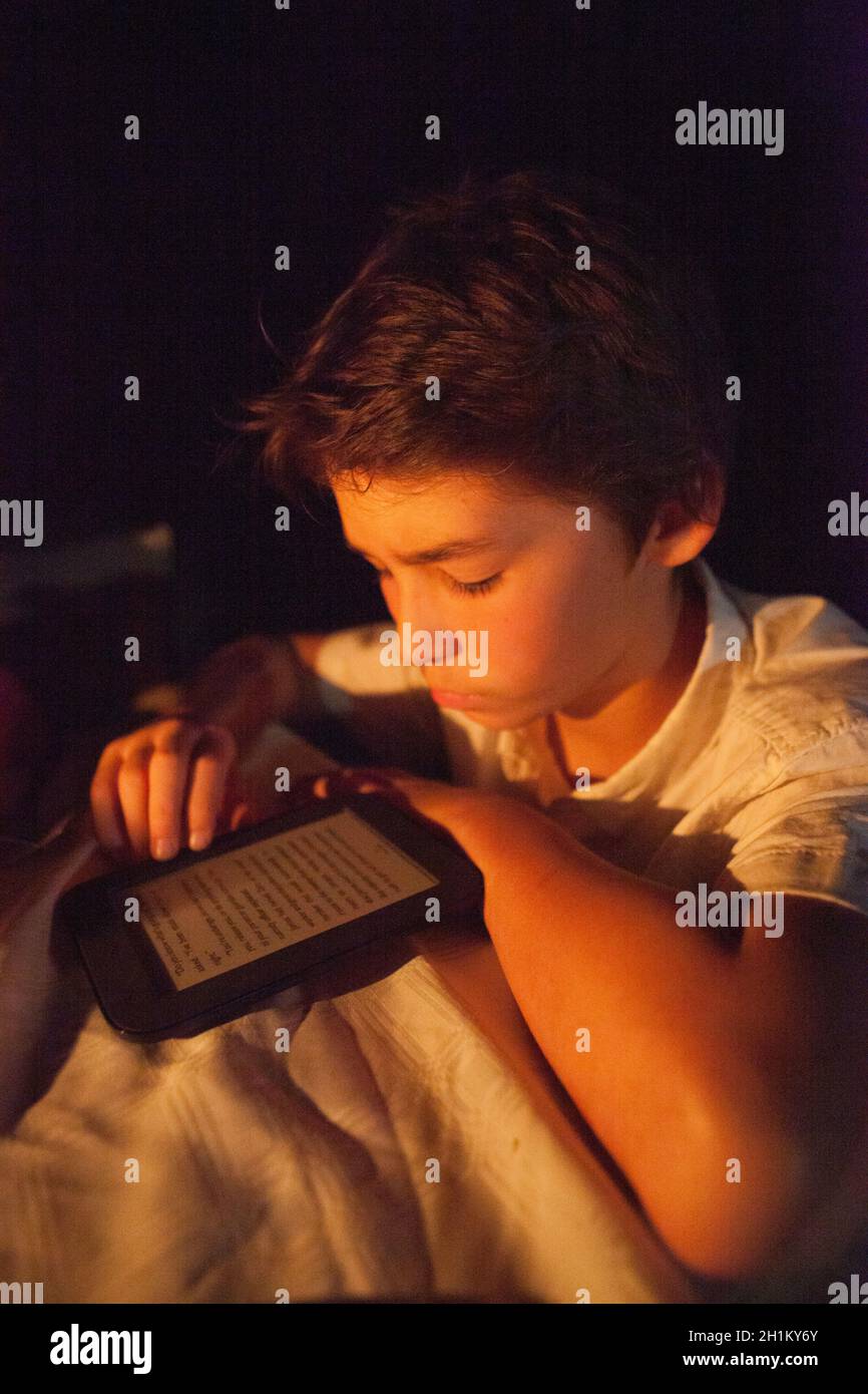 Nighttime safari hi-res stock photography and images - Alamy