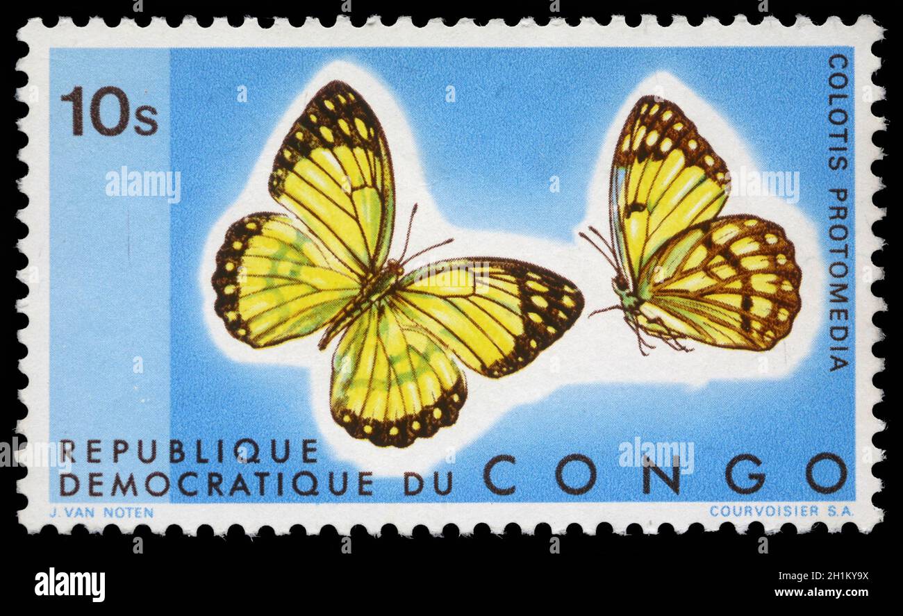 Colotis hi-res stock photography and images - Alamy